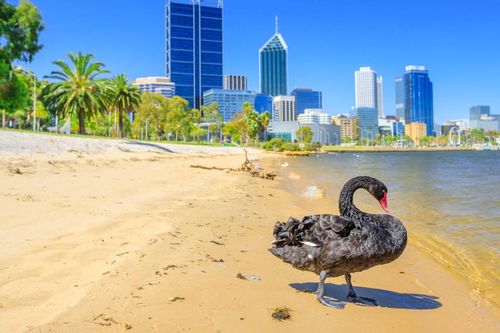 WA government launches $10 million investment fund as bureaucrats ...